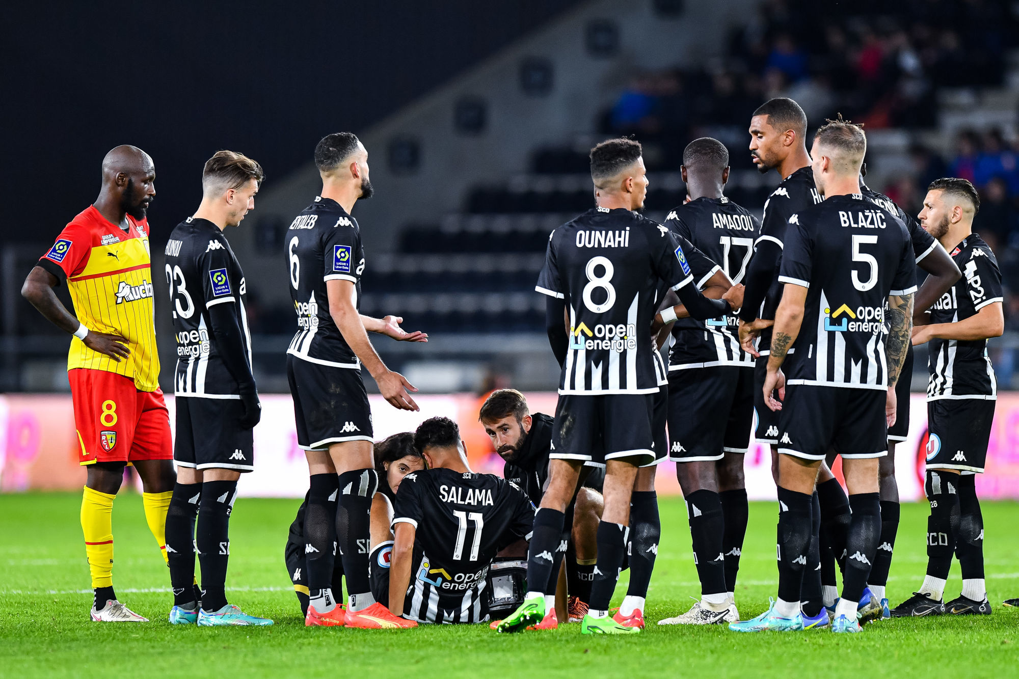 Plusieurs incertitudes angevines avant LOSC - Angers SCO | Le petit Lillois